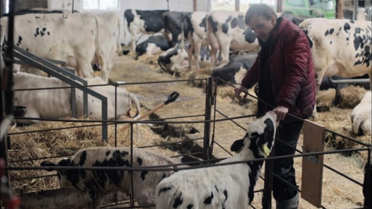 TYLE CO NIC – ZOOM – ZBLIŻENIA Międzynarodowy Festiwal Filmowy